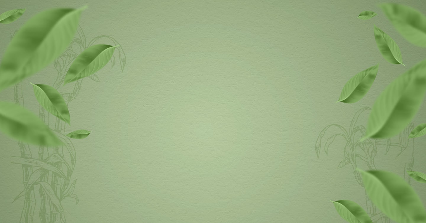 Catálogo de productos y beneficios lo encuentras en Megamaxi